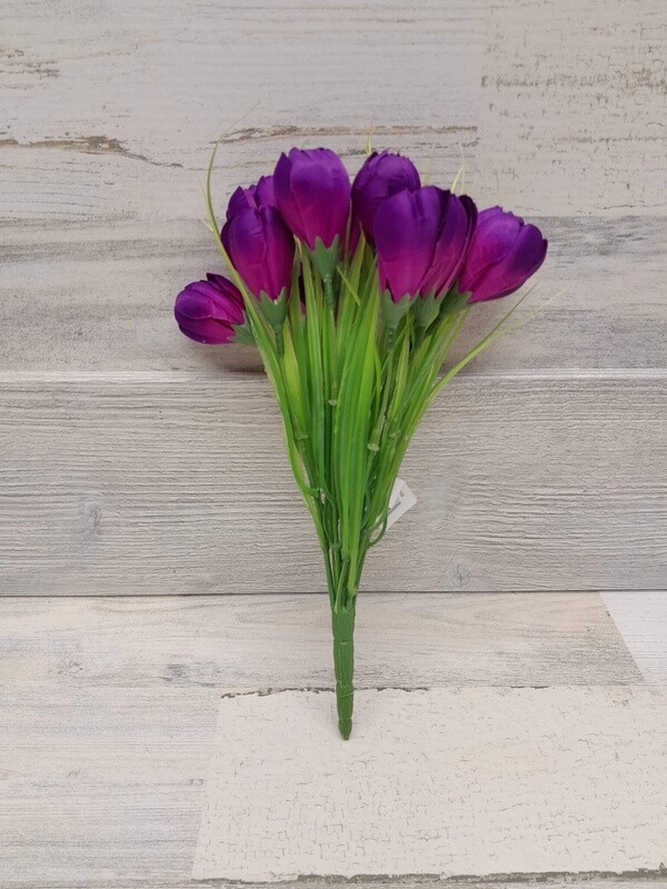 11" Crocus Bush x12 Dark Purple