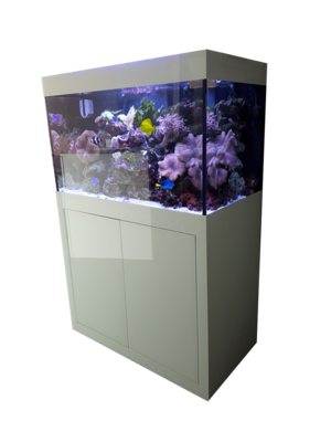Aqualife AQUARIUM