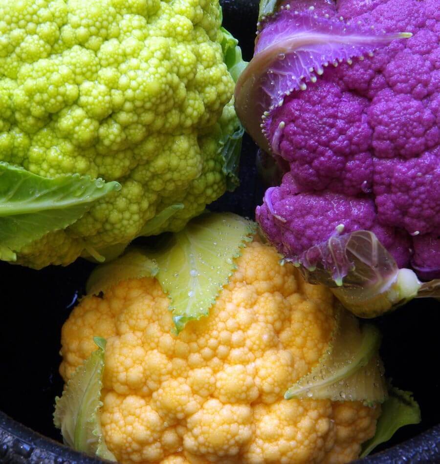 Muti-Color Cauliflower Mix - Brassica oleracea | Rare Plant Seeds ...