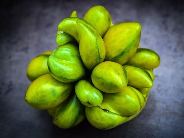 Heirloom Vegetables and Rare Finds