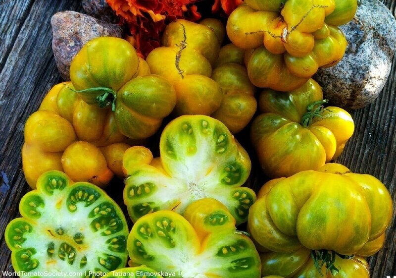 Heirloom Vegetables and Rare Finds