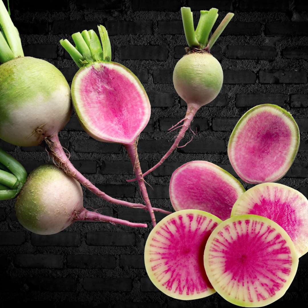 Watermelon Radish / Beauty Heart Radish - Raphanus sativus | Rare Plant ...