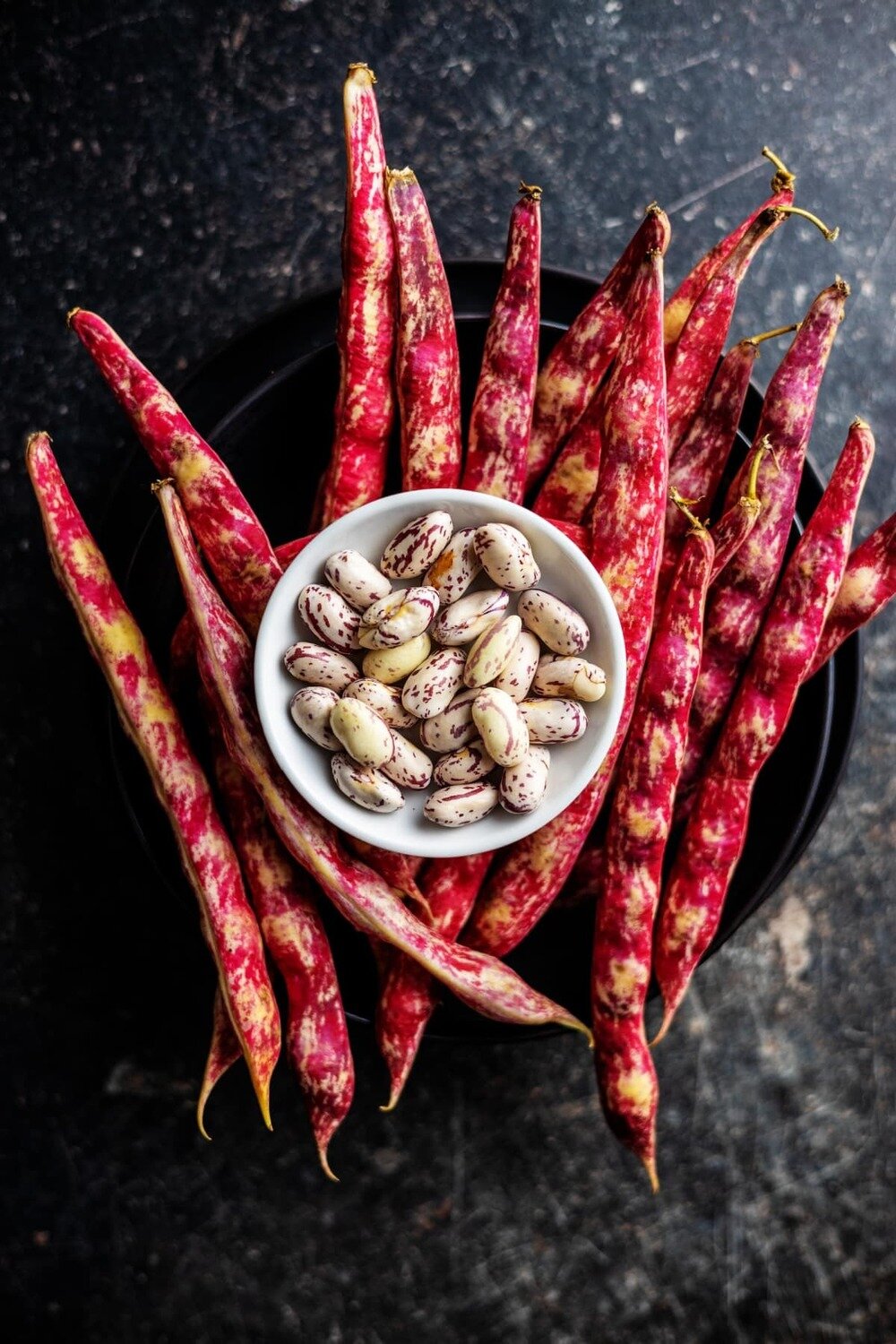 Roman Cranberry Bean / Borlotti Bean - Phaseolus vulgaris 'Borlotti ...