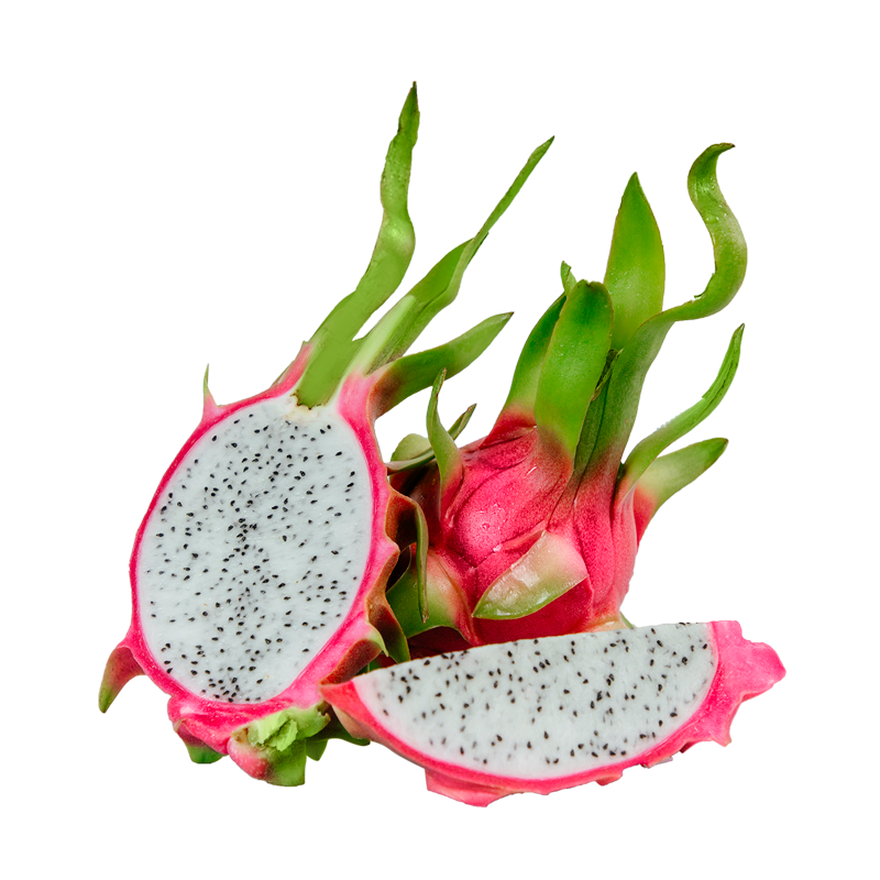 White Flesh Dragon Fruit - Hylocereus udatus | Rare Plant Seeds ...