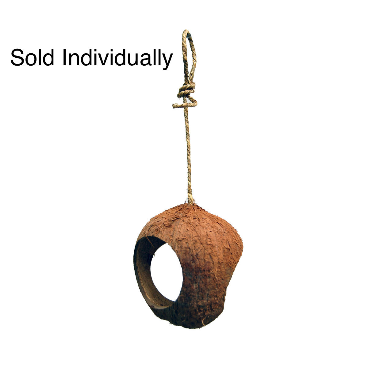 Coconut with 3 Holes