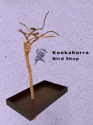 Floor Standing Java Trees for Parrots