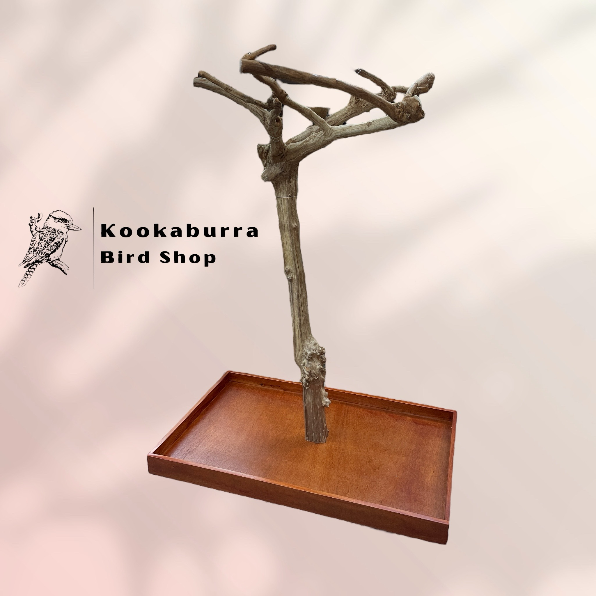 Perfect Placement: Finding the Best Location for a Parrot's Cage