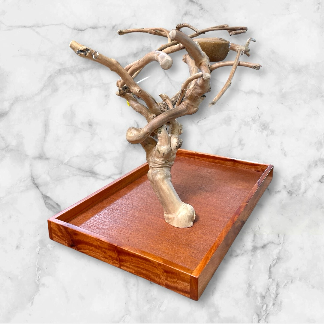 Birds for Adoption AKA Second-Hand Birds | Kookaburra Bird Shop, LLC ...