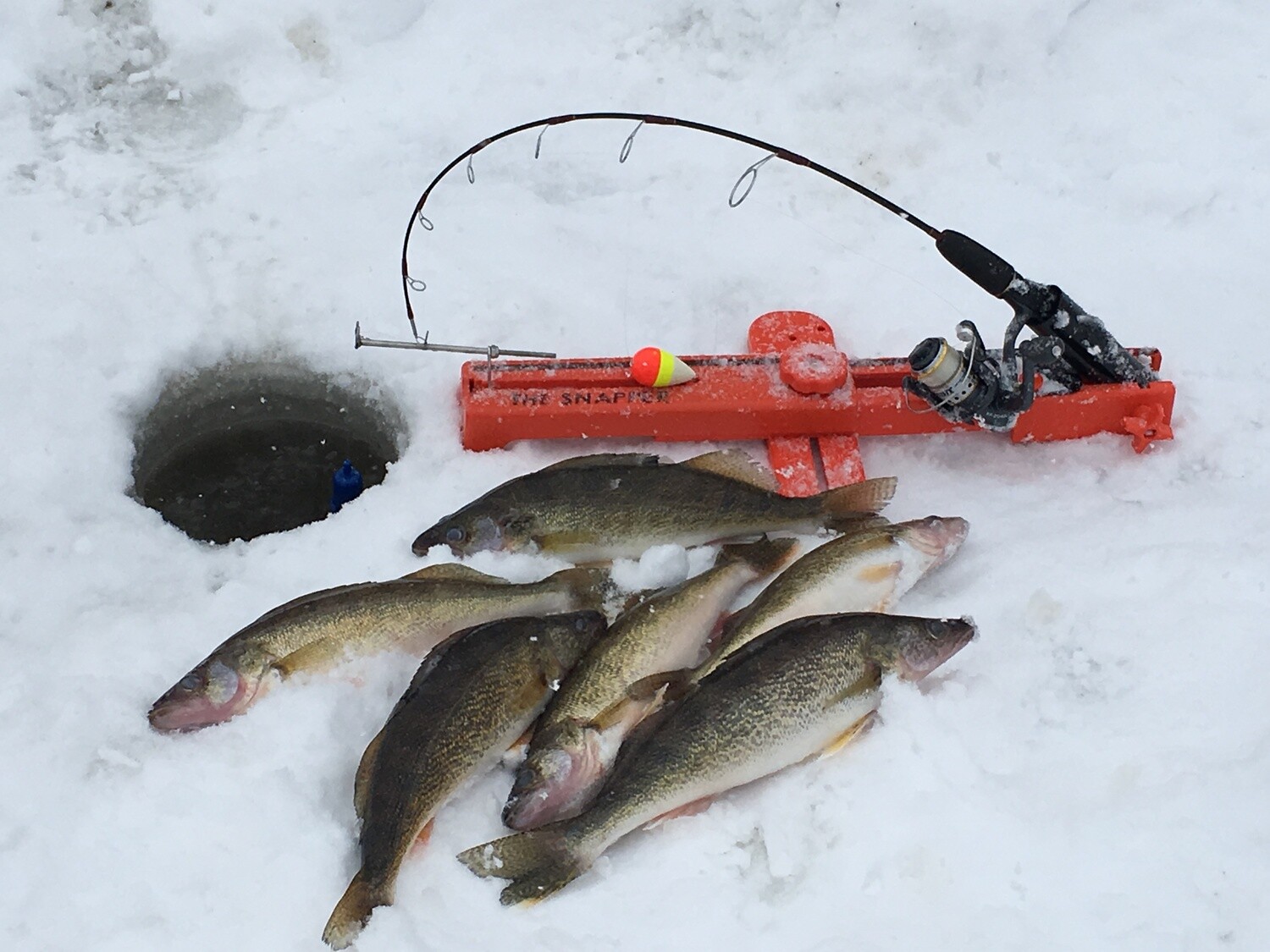 THE SNAPPER HOOK SETTING DEVICE COMBOS - Automatic Fisherman | Store ...