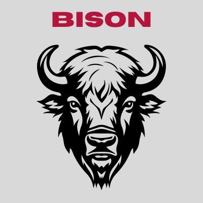 Bison – Store – Chicken On The Run