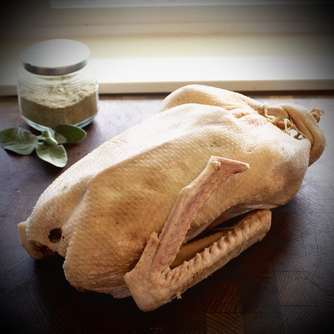 Free Range Appledore Whole Goose