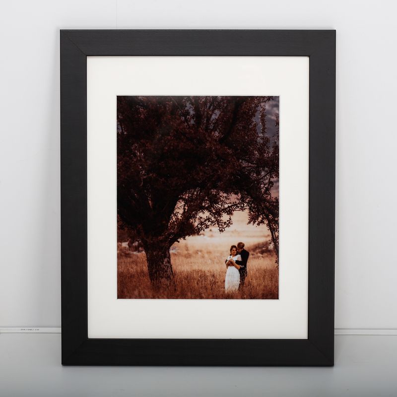 Harrisons 599 Frames