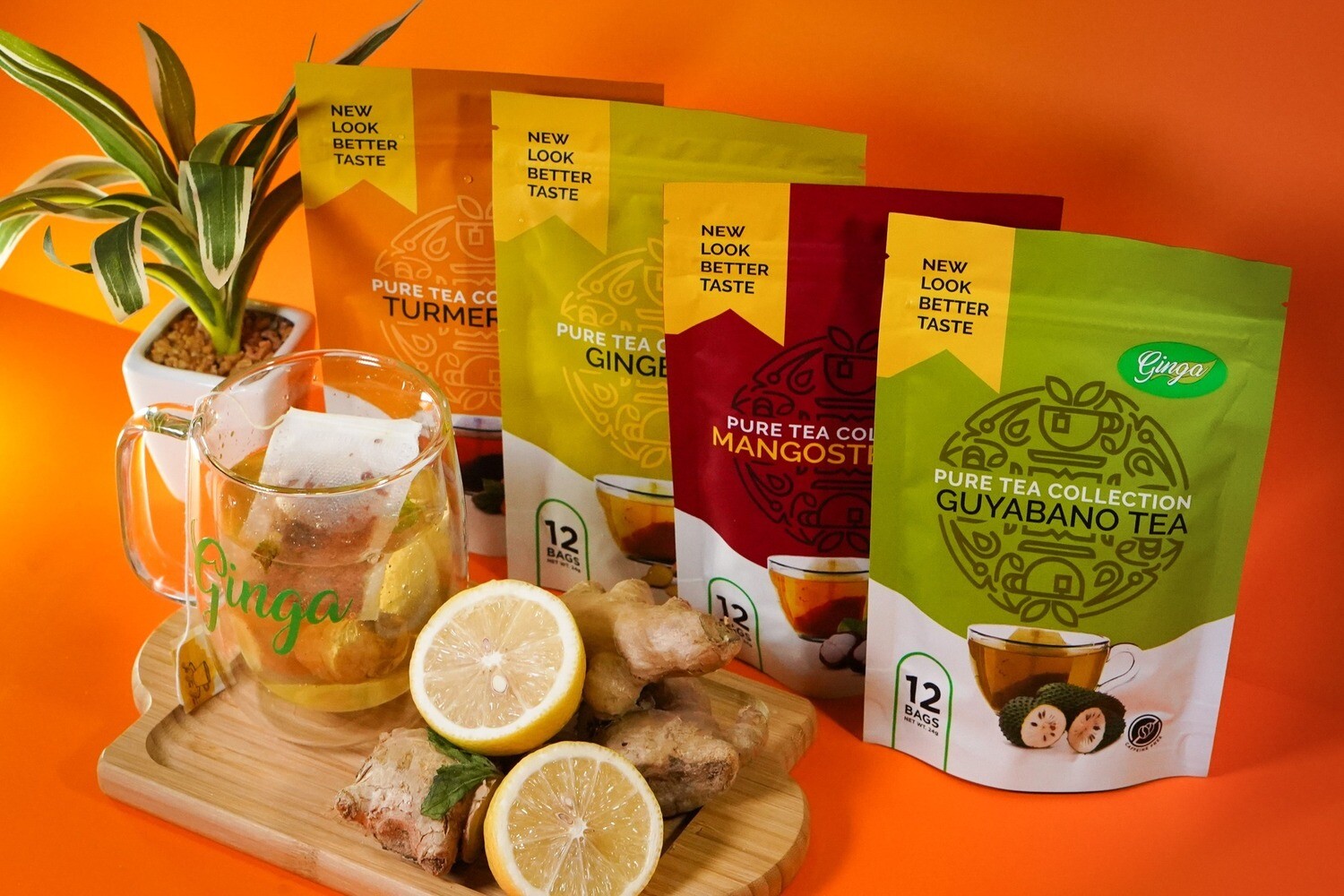 Ginga Products – Store – Wellnessland