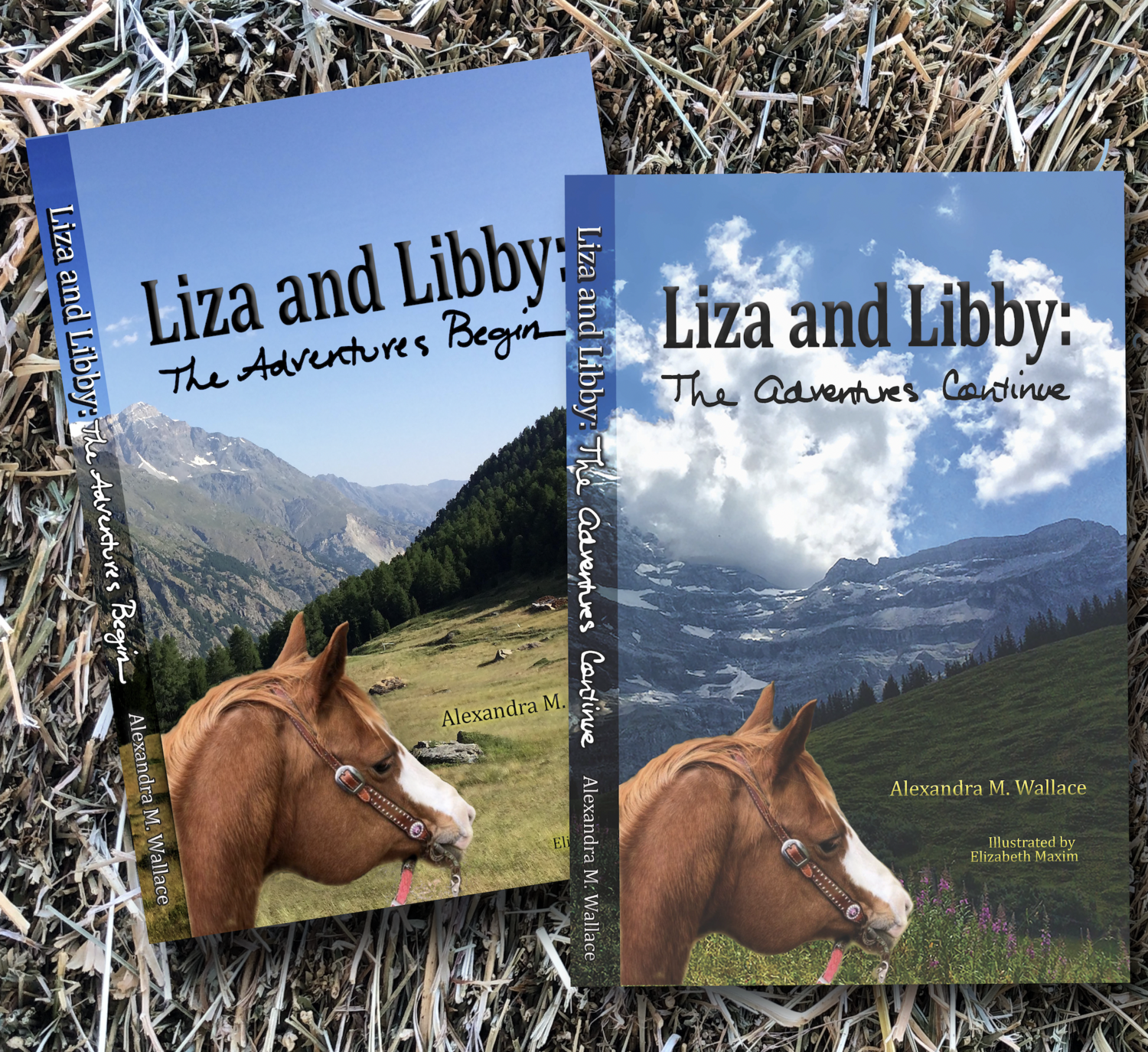 Store - The "Liza and Libby Adventures Trilogy"