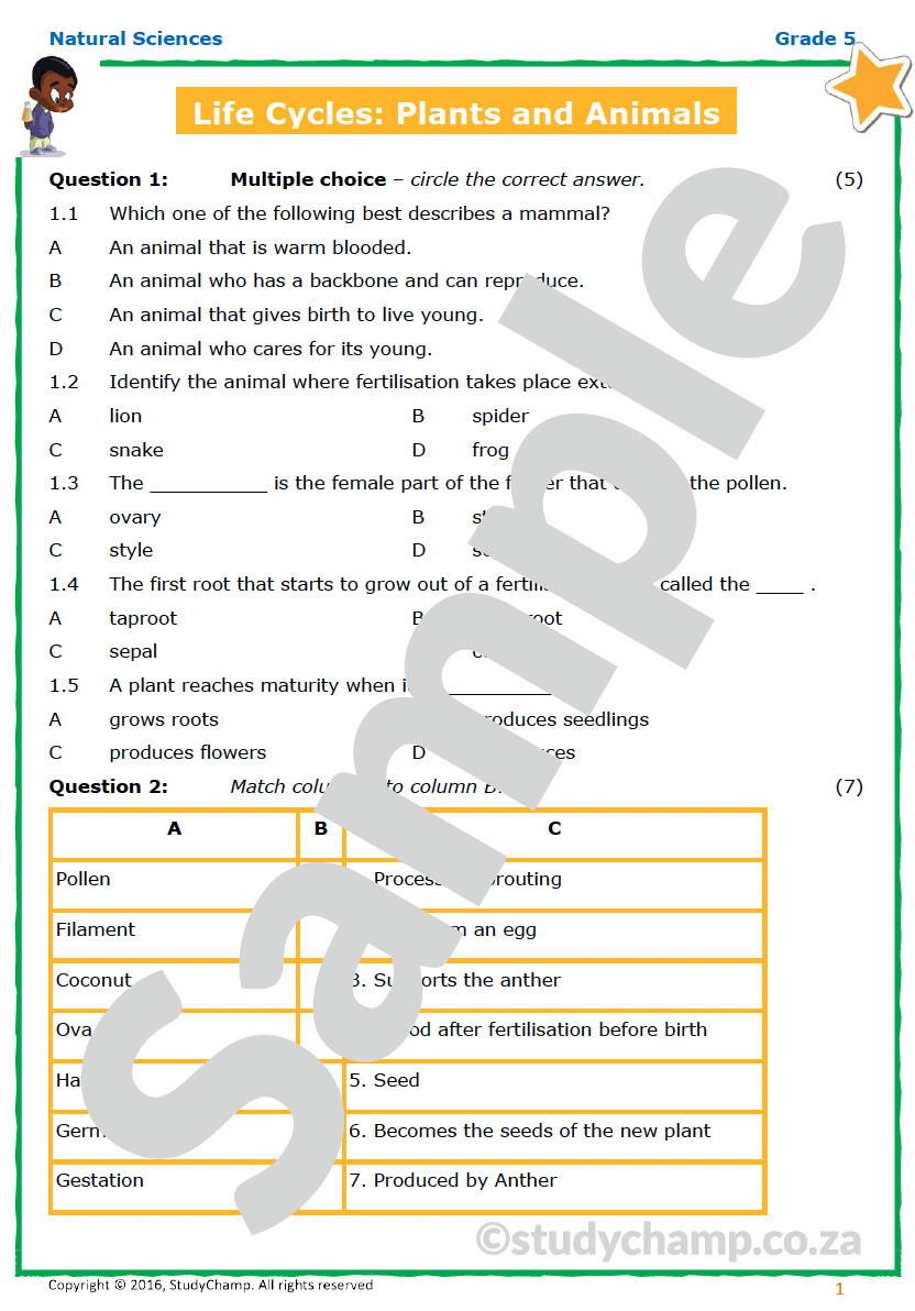 Grade 5 Natural Sciences Test: Life Cycles of plants and animals