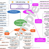 Grade 7 Natural Sciences Summary: Biosphere and Biodiversity