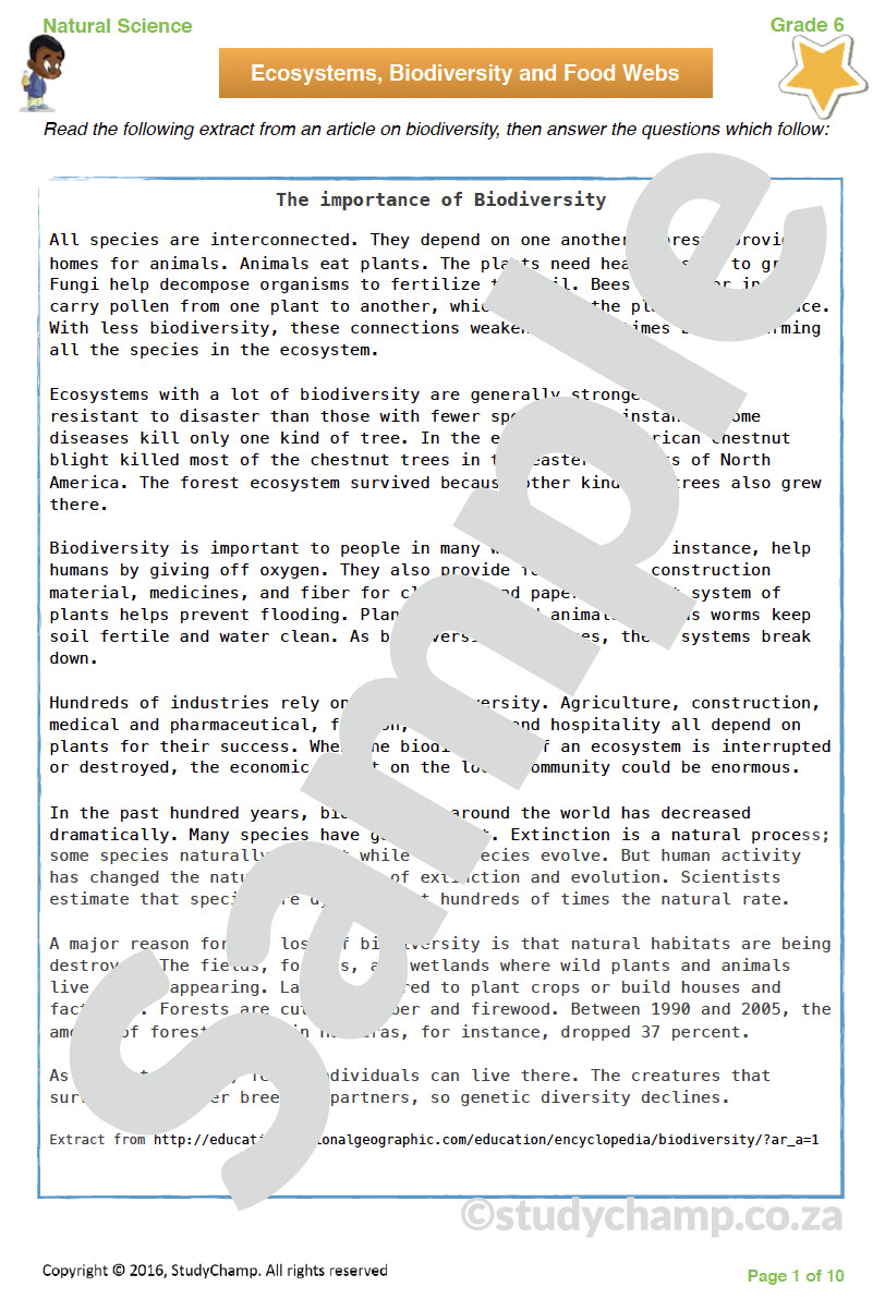 Grade 6 Natural Sciences Test: Ecosystems