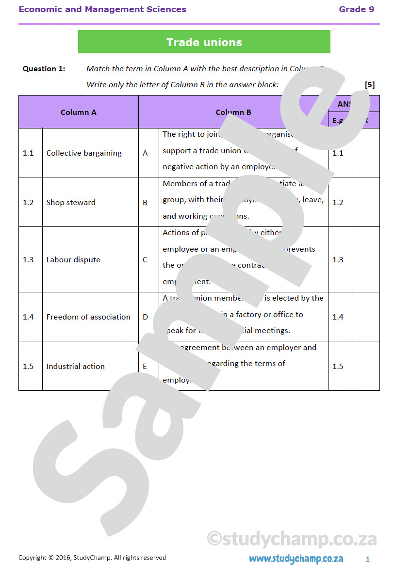 Grade 9 EMS Test: Trade Unions Grade 9 EMS Test: Trade Unions
