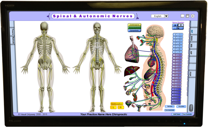 Patient Education Software | Store - Neuropatholator