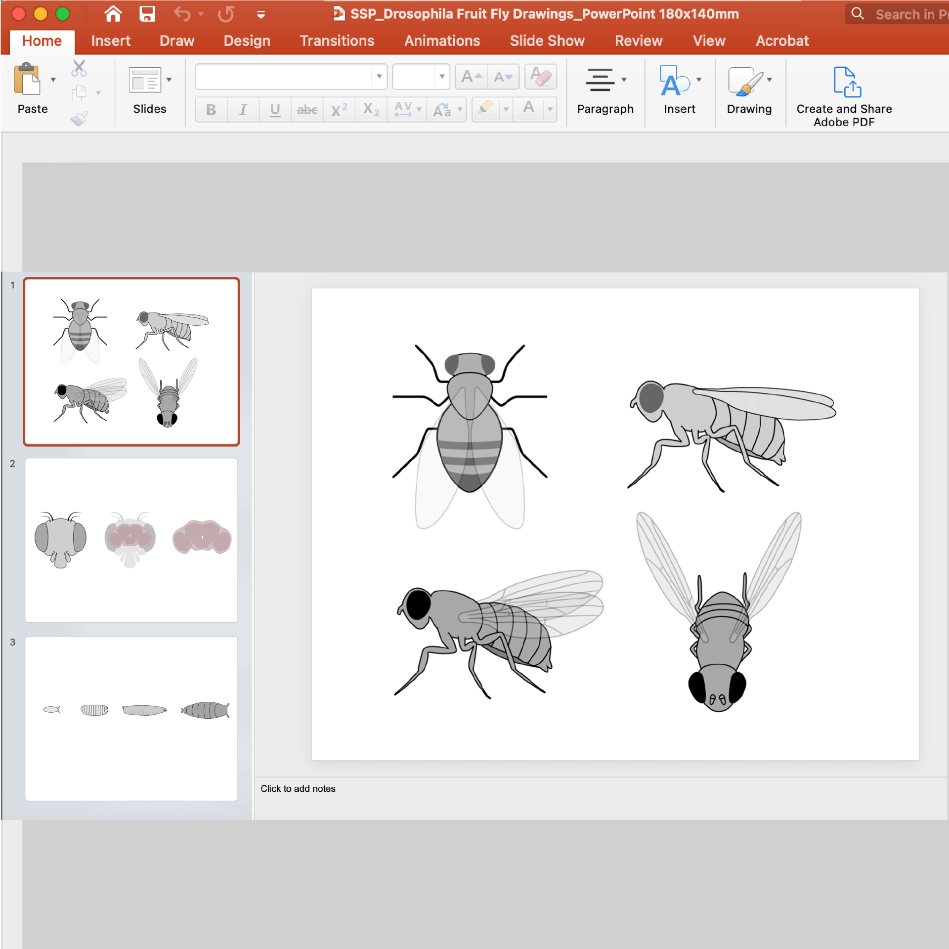 Science Vector Images and Templates | Free and Affordable Downloads