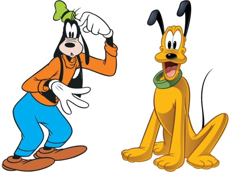 Goofy&Pluto / 高飞&布鲁托