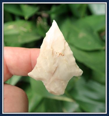 Homepage - Rivers of Time