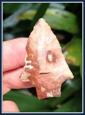 Homepage - Rivers of Time