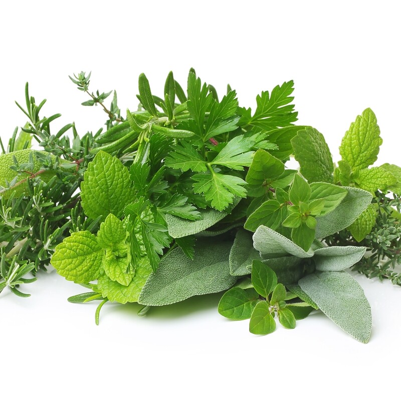 Filter Wines with Herbal Notes