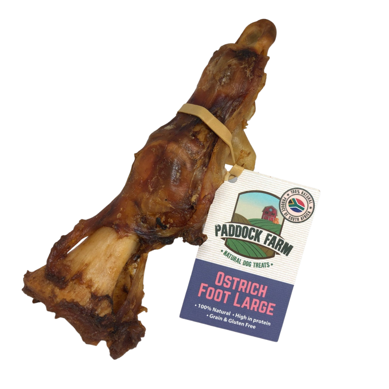 Ostrich Bones For Dogs Large- Limited Stock