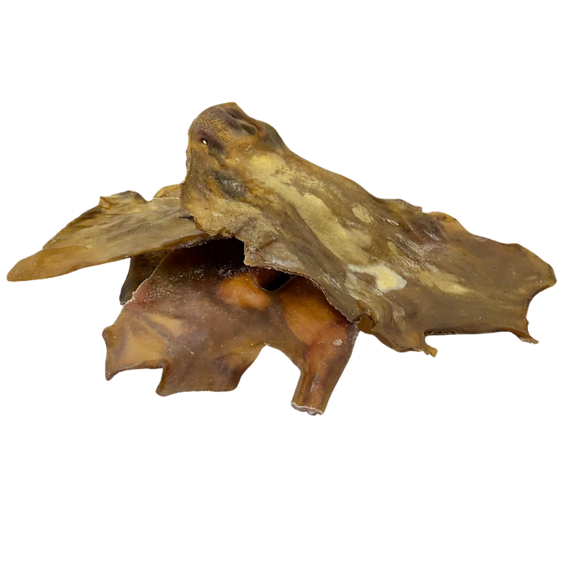 Camel Skin Plate - A Mighty Tough Chew! Very Long Lasting.