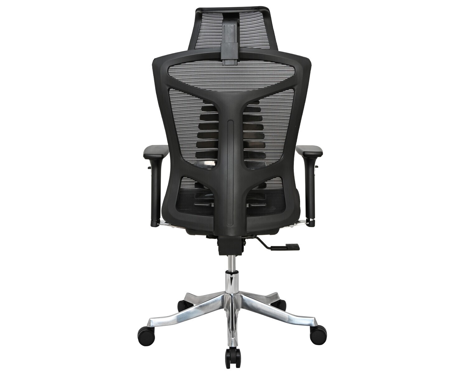 Bionic Spine Support (XTM 2 Years Warranty)