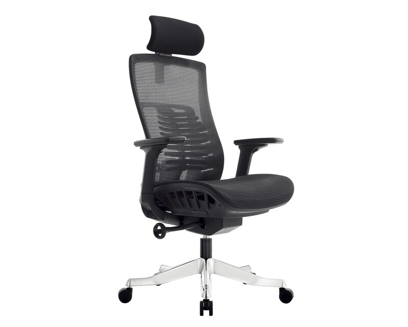 Bionic Spine Support (XTM 2 Years Warranty)