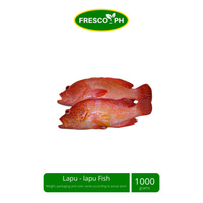 Lapu - lapu Fish 1kg