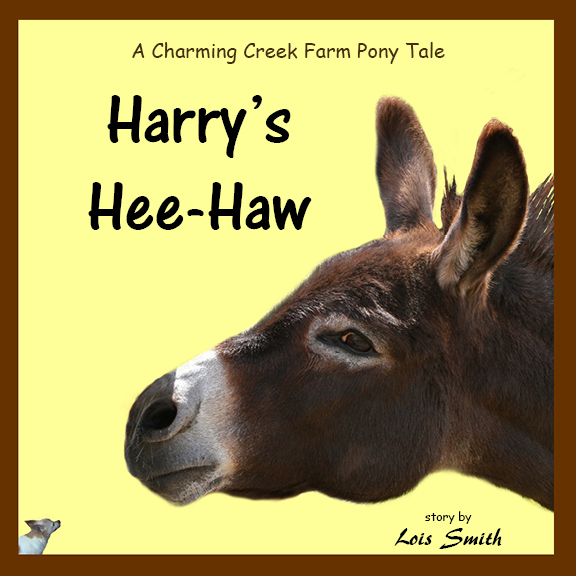 Miniature Donkey, Harry