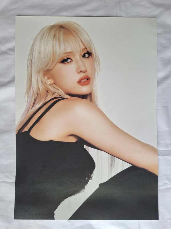 Somi A3 Poster.