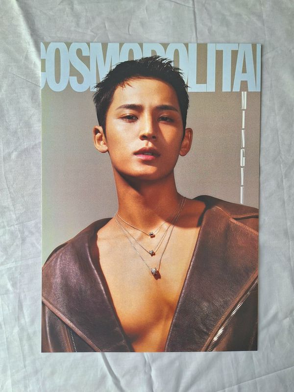 Seveteen Solo A3 Posters! (Mingyu;Jeonghan;S.Coups;Vernon;DK)