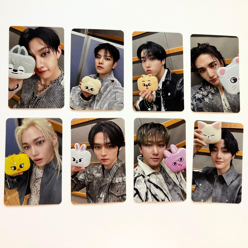 Stray Kids 'SKZOO Mini Box Selca' Photocard Set!