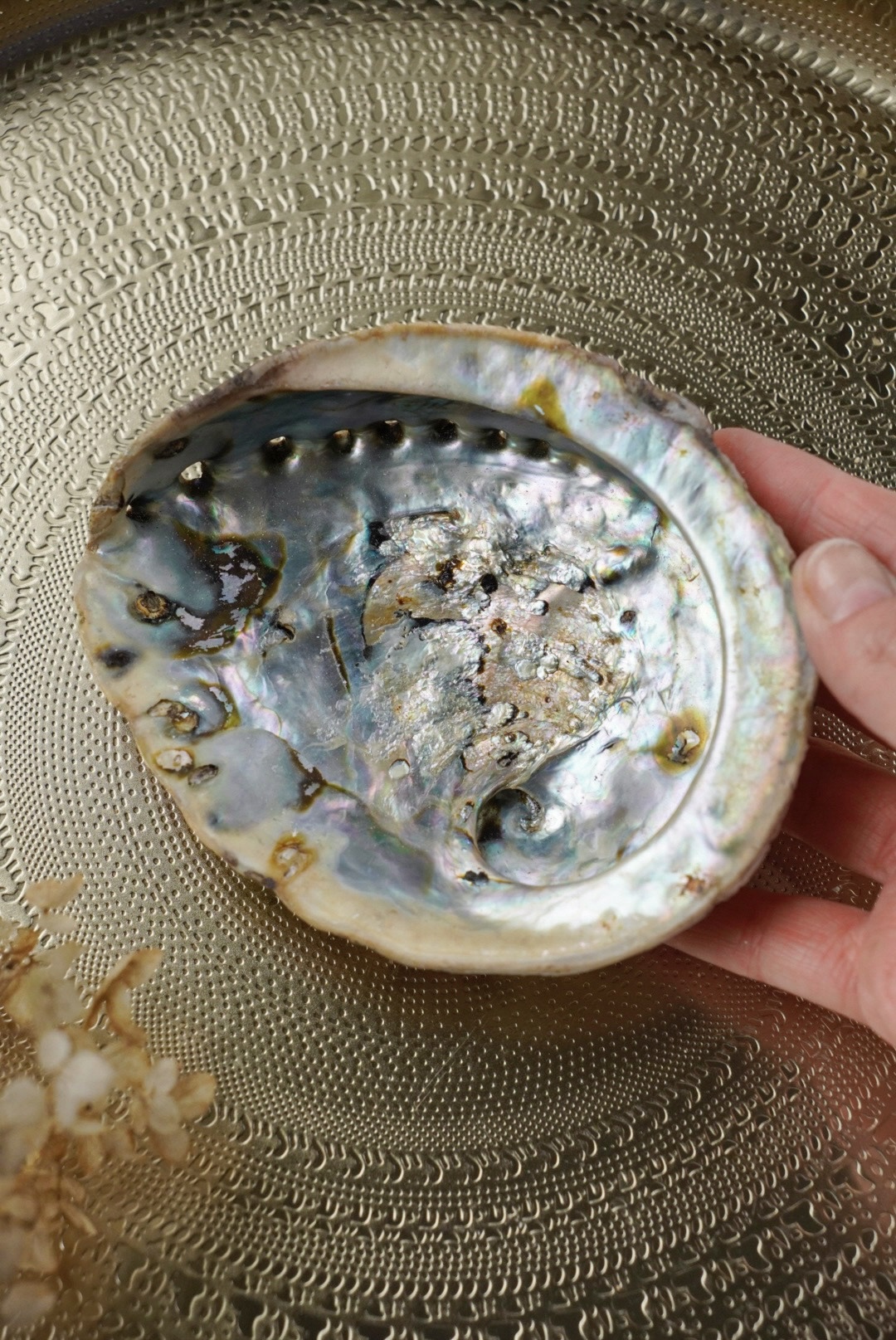 Lulamoon | edelstenen & mineralen in Oss en online