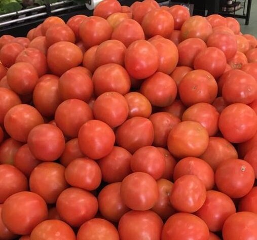 PREMIUM TOMATOES (KG)