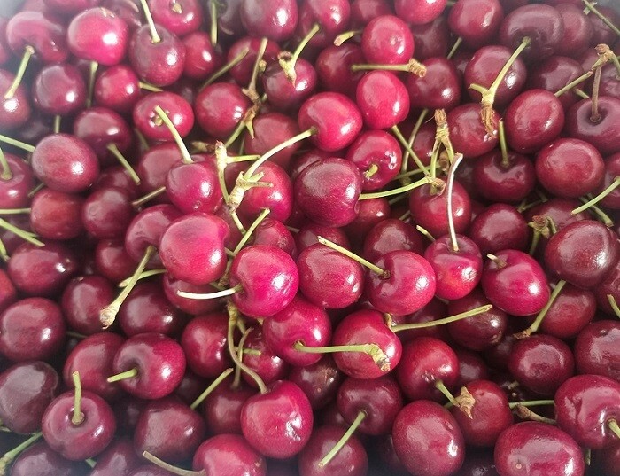 Premium Fruit and Veg Shop in the Illawarra | WFB Online