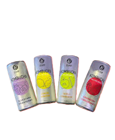BONSOY KOMBUCHA ASSORTED CANS (BOX 12X250ML)