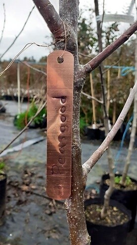 Copper Plant Labels pack of 10