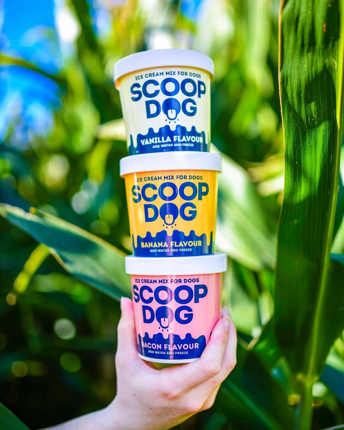 Scoop Dog