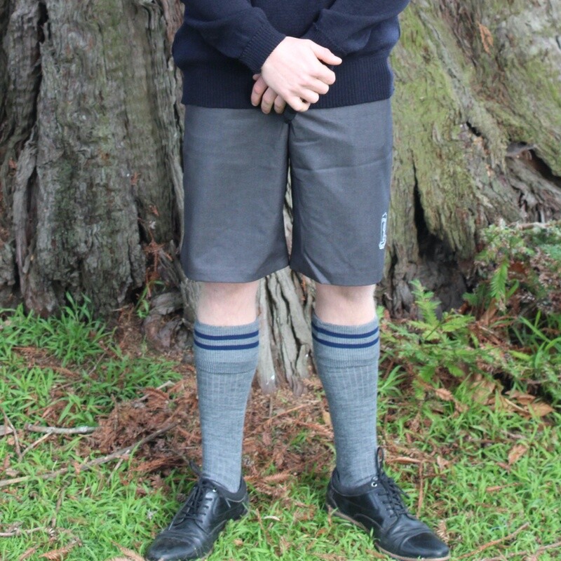Shorts - Grey (Year 9 to 12)
