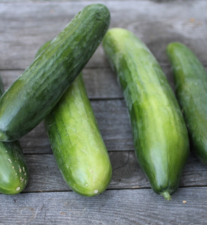 Cucumbers