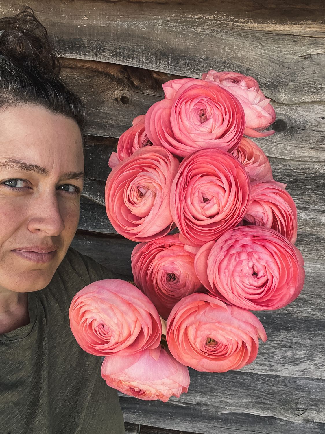 Ranunculus, Nuance (Cloni type)