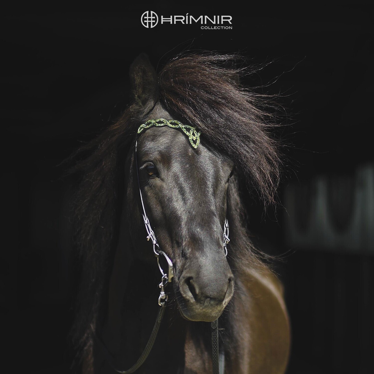 Hrimnir Heritage Headstall Aurora