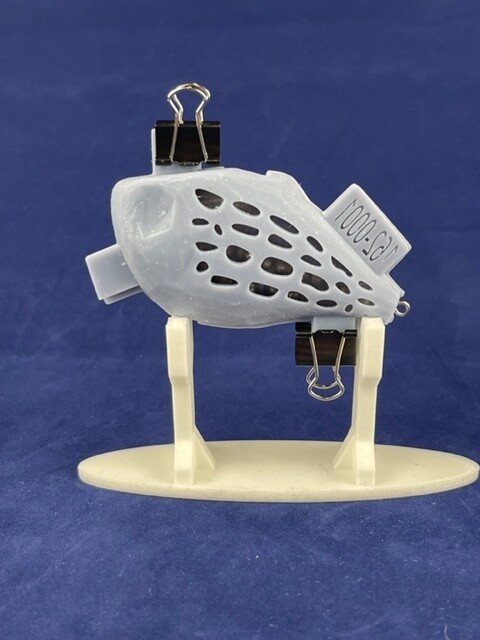 Lipless Body Stencils