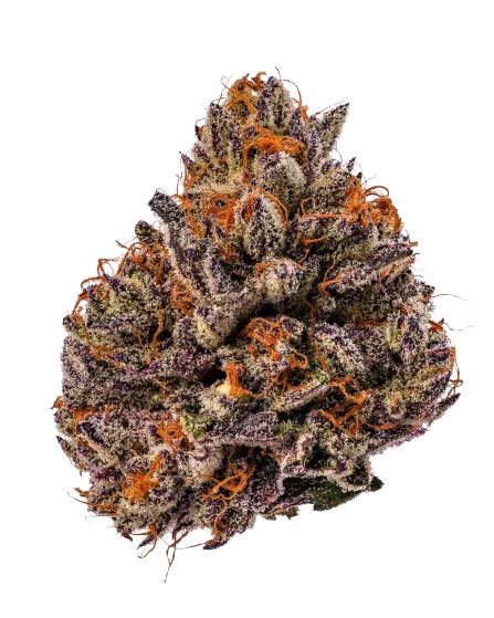 Триплоидные семена марихуаны Tropicana Cherry Triploid F1