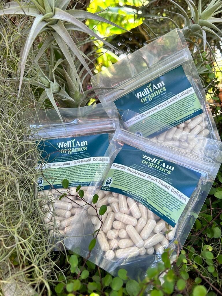 Tremella Mushrooms 120 Capsules